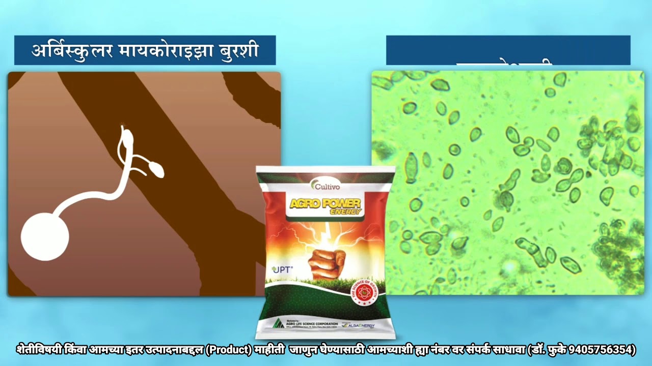 Agro Power Energy Vs Chemical Fertilizer - YouTube