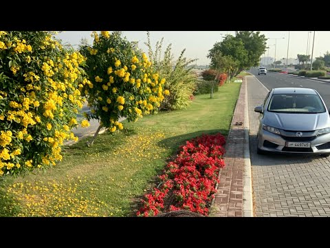 Welcome to Qatar 🇶🇦#foryou #viral #reels 
