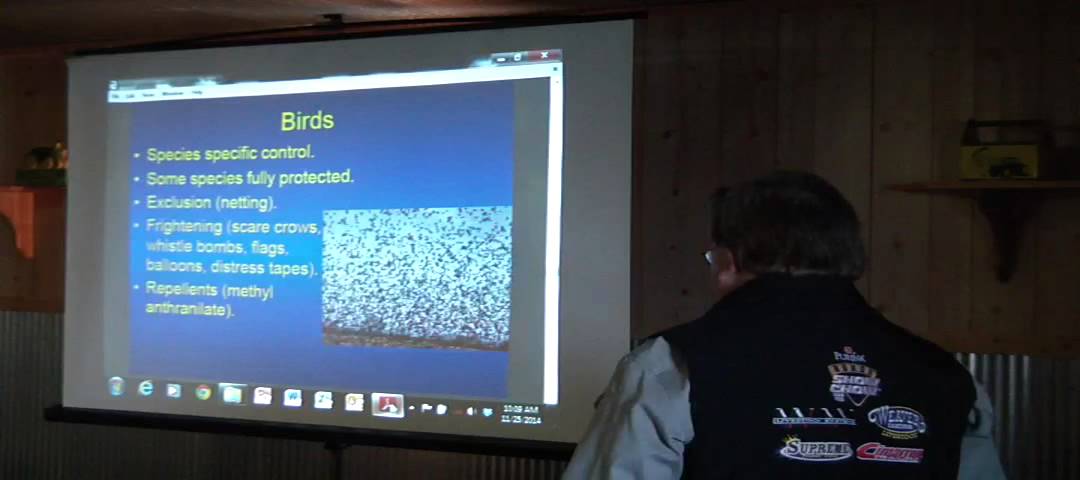 Backyard Wildlife Damage Control pt. 1 Randy Pirtle - YouTube