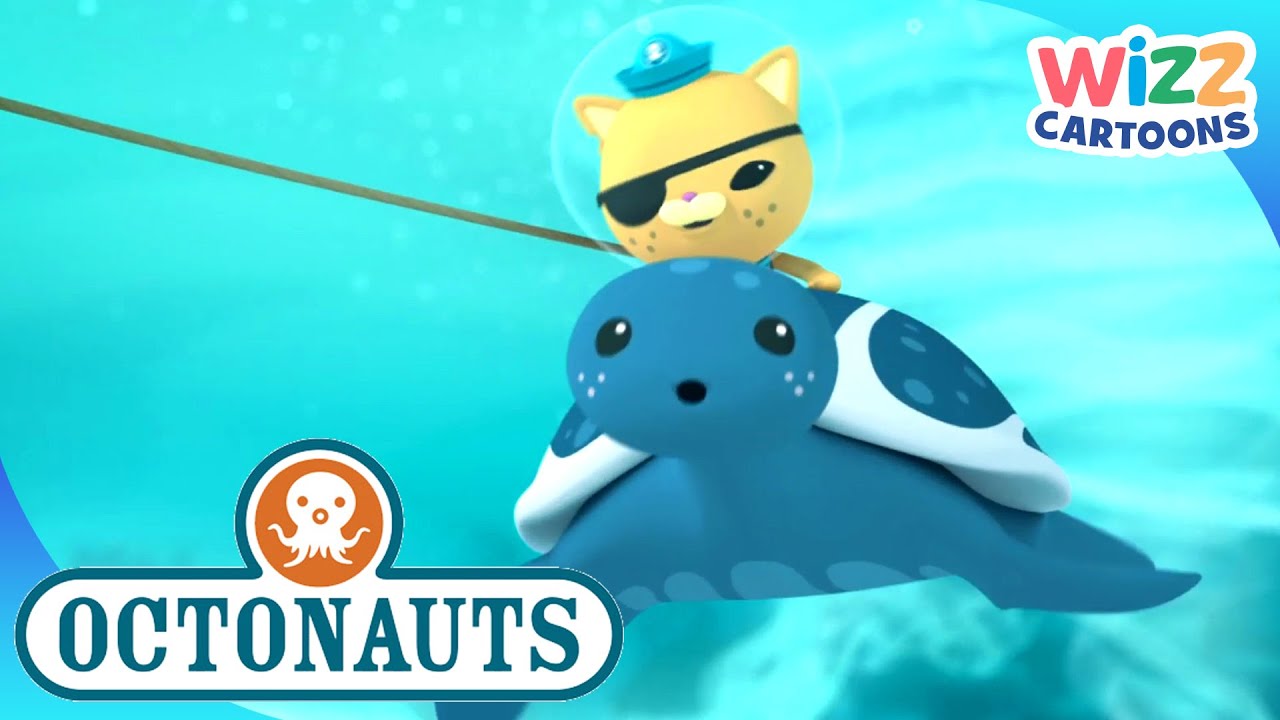 @Octonauts - Feel the Ocean Breeze | Compilation | Wizz Cartoons - YouTube