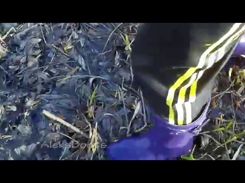 The flooding in the Hunter and latex.Part-1(15/04/16)