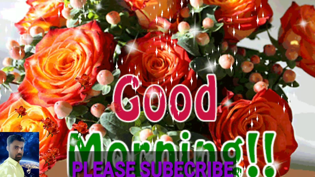 Good morning best quest wishes beauty writing whatsapp status vidio ...