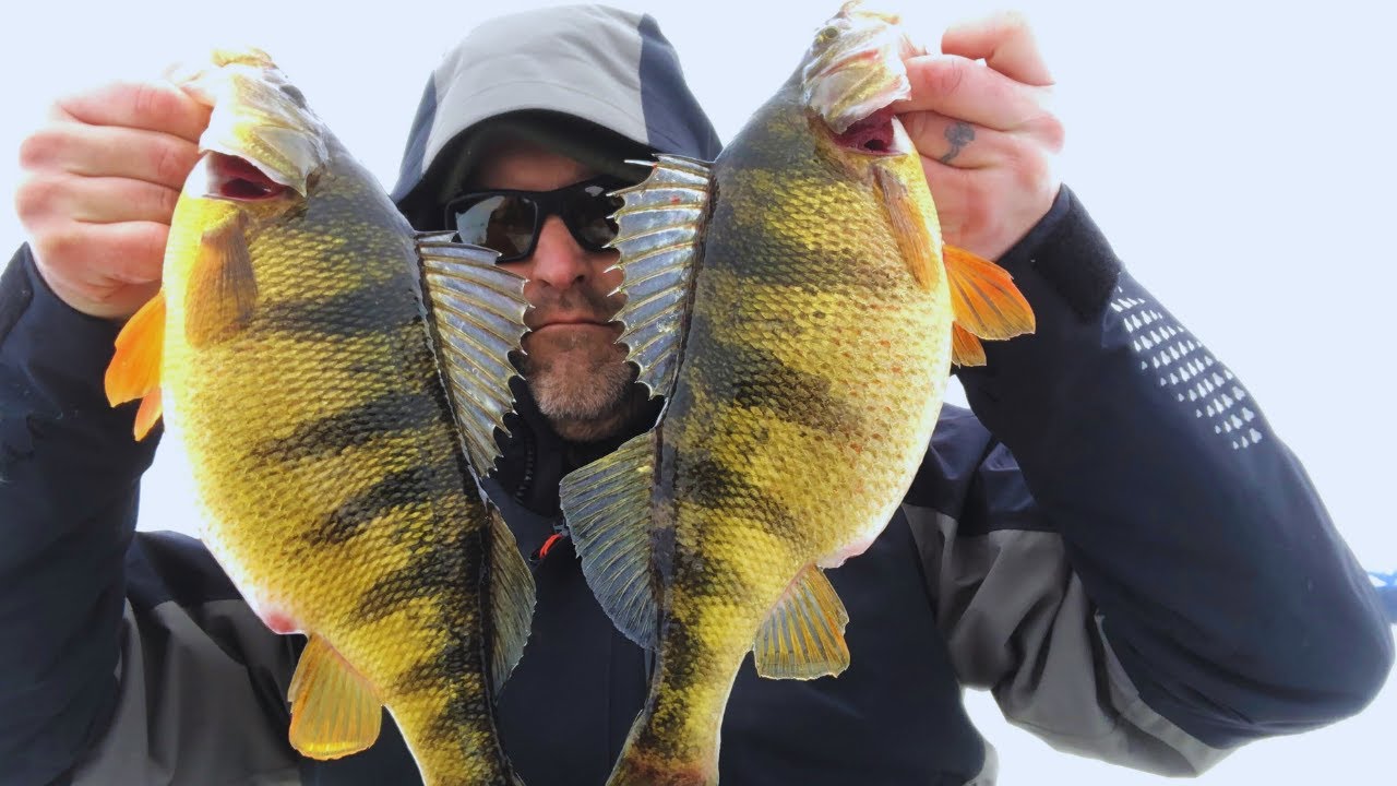 Ice Fishing Lake Cascade JUMBO Perch - Where and How to Find The GIANTS ...