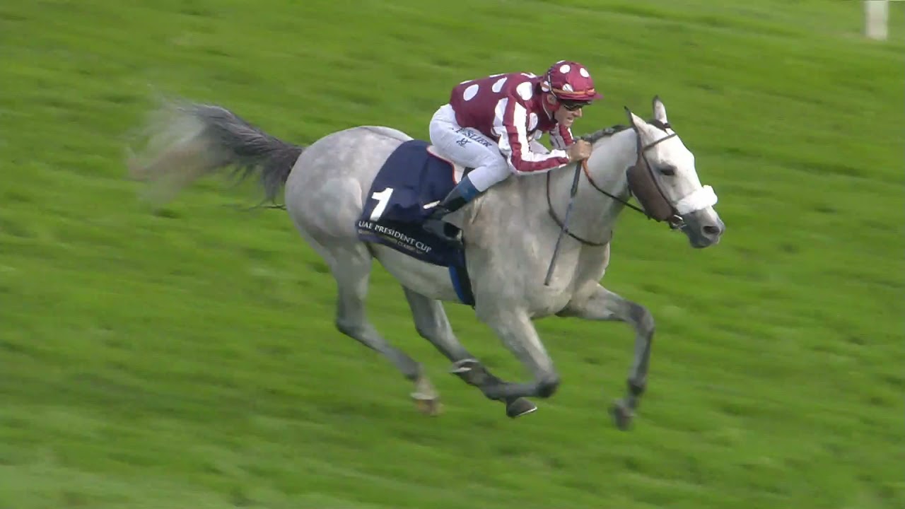 UAE PRESIDENT CUP (UK ARABIAN DERBY) Group 1PA - YouTube