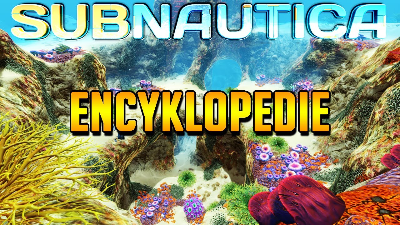 Je Safe Shallows skutečně nejbezpečnější biome? - Subnautica - YouTube