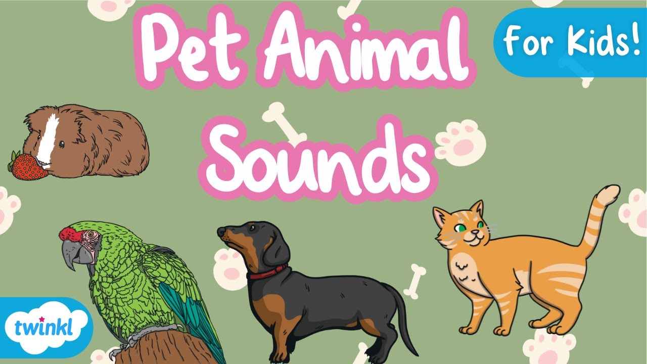 Pet Animal Names and Sounds | Animal Sounds for Kids | Names of Pets ...