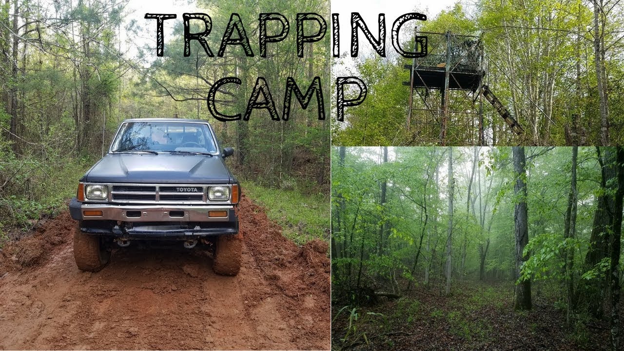 Trapping Camp - YouTube