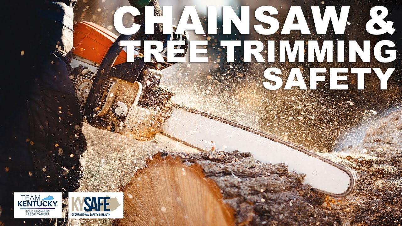 Chainsaw and Tree Trimming Safety Webinar - YouTube