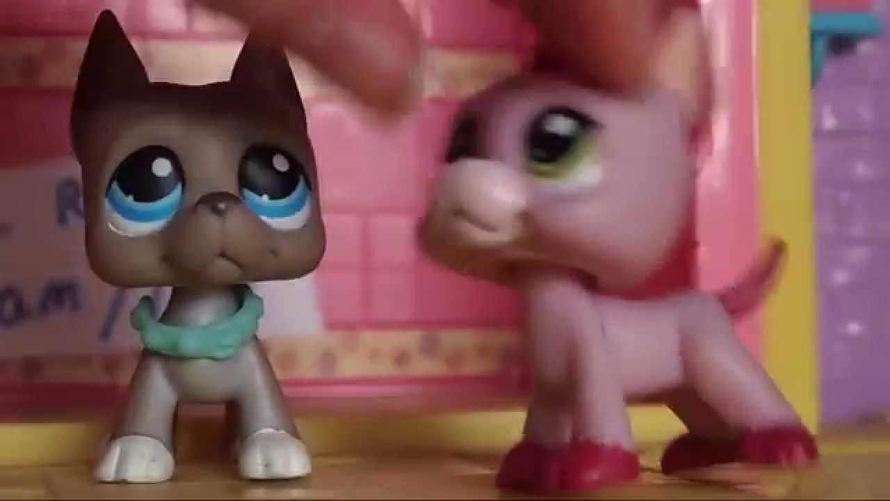 LPS: I'm Addicted to the word "I really" - YouTube