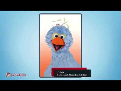 Pino - YouTube