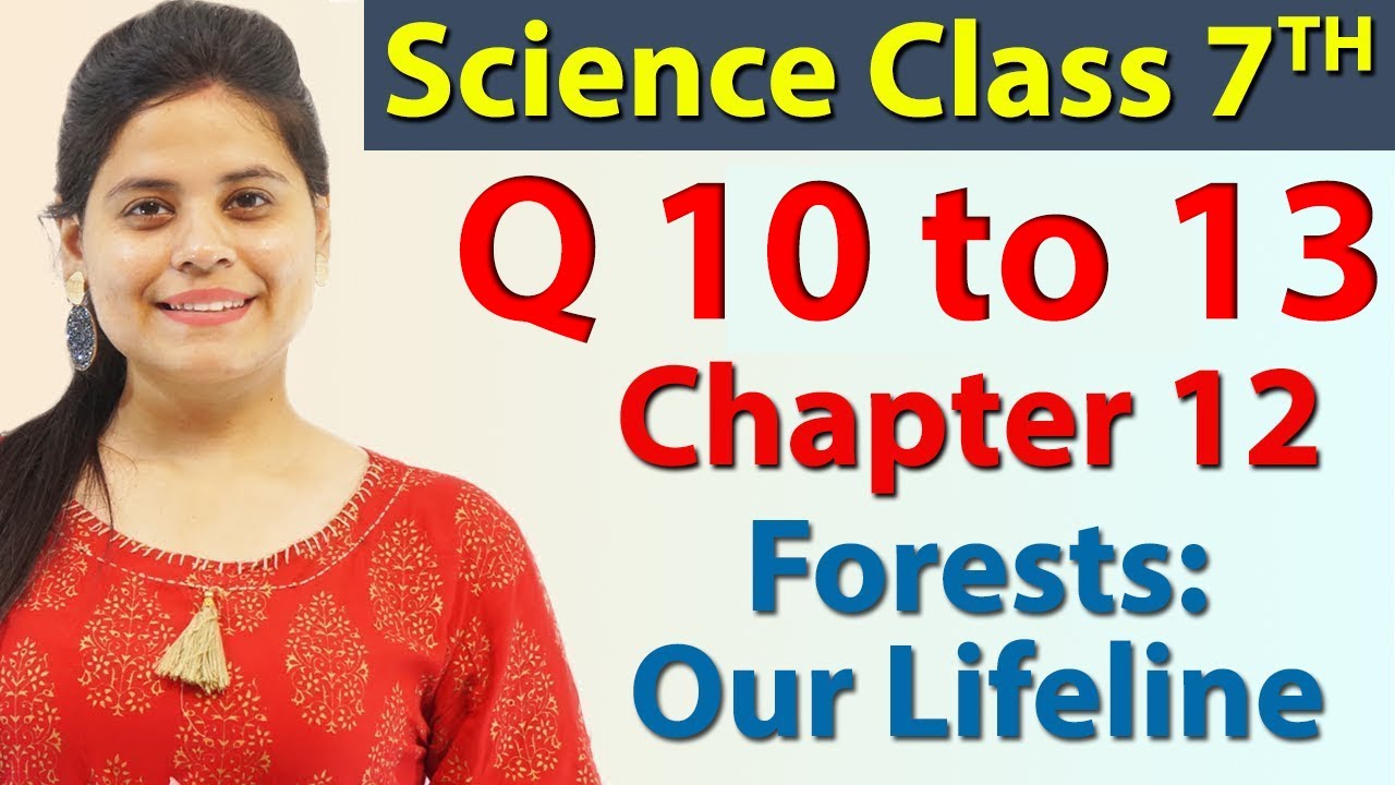 Q 10 to Q 13 - Chapter 12 - Forests: Our Lifeline - Science Class 7th ...