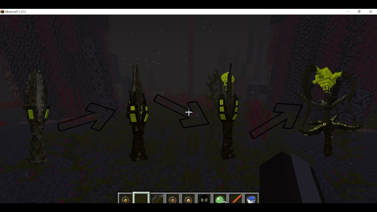 Beckon Growing From Stage 1 to 4 - YouTube