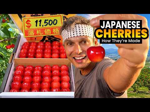$11,500 for a Box of Cherries? ー Here's Why ★ ONLY in JAPAN