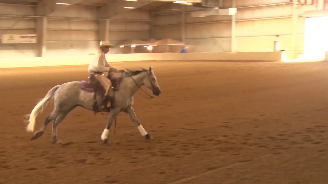 091519 Novice Cary Wade on Wranglin Attraction - YouTube