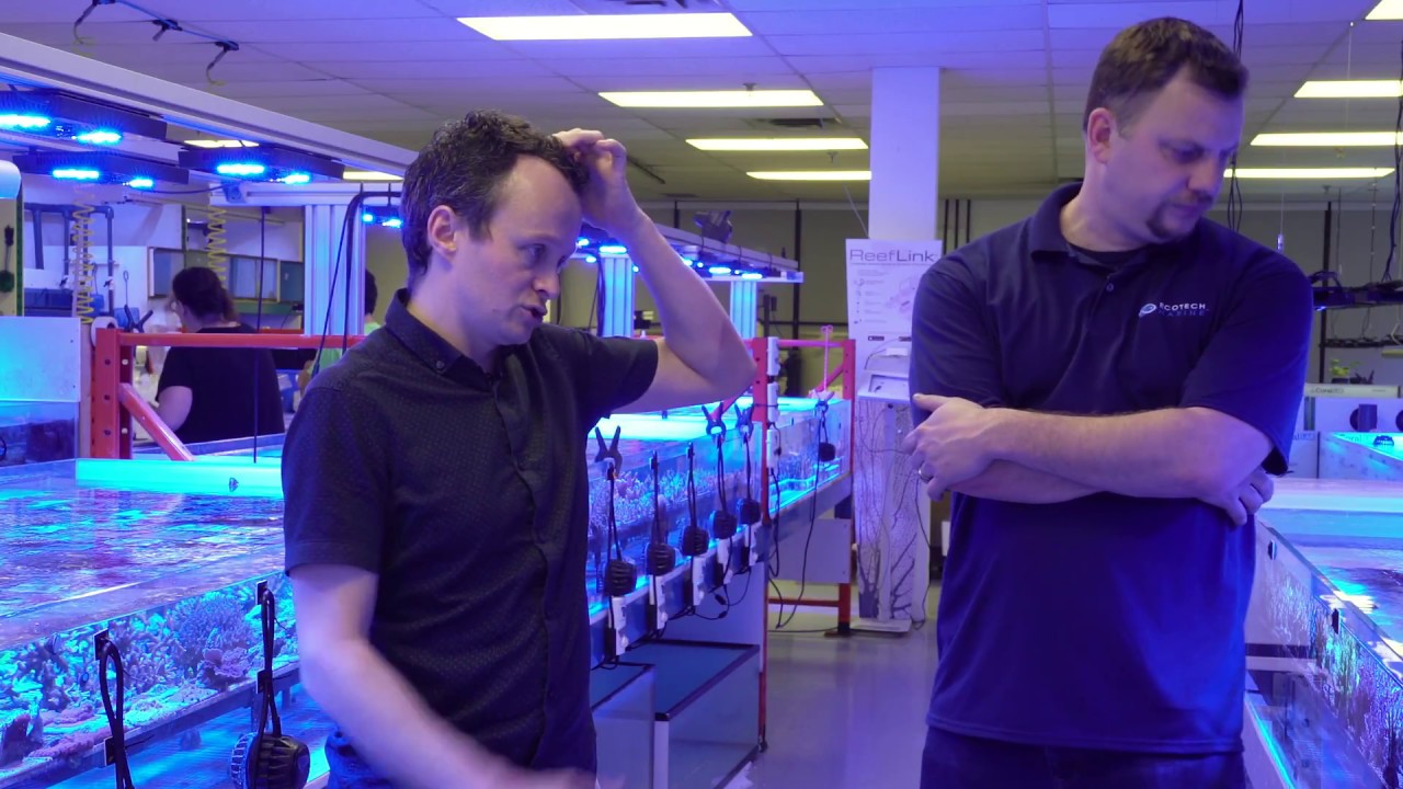 CoralLab Detritus Free Coral Frag System - YouTube