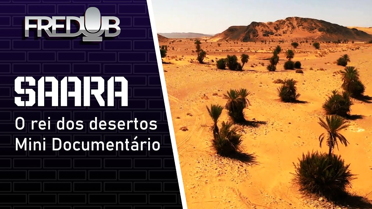 Saara - O Rei dos Desertos - Mini Documentário - YouTube