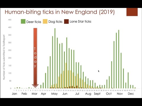Tick Feeding and Behavior - YouTube