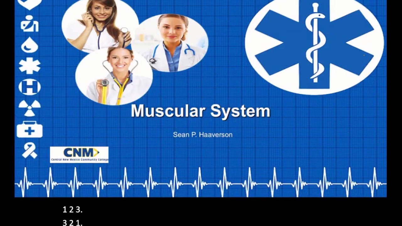 Muscle Anatomy and Physiology for the Paramedic - YouTube