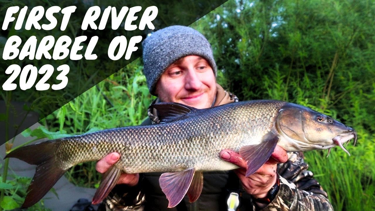 NEW RIVER SEASON! Barbel Fishing a Small River - YouTube