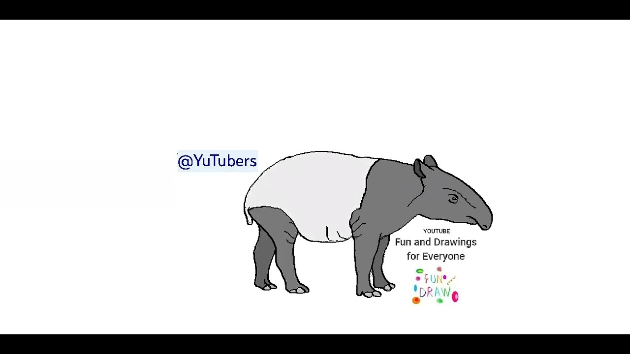 How to draw a malayan tapir - YouTube