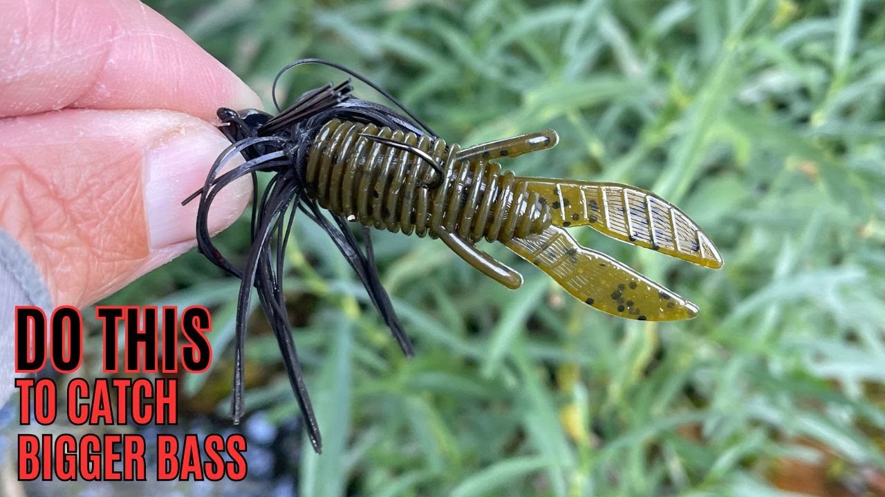 THE BEST MICRO BASS BAIT ON THE MARKET - YouTube