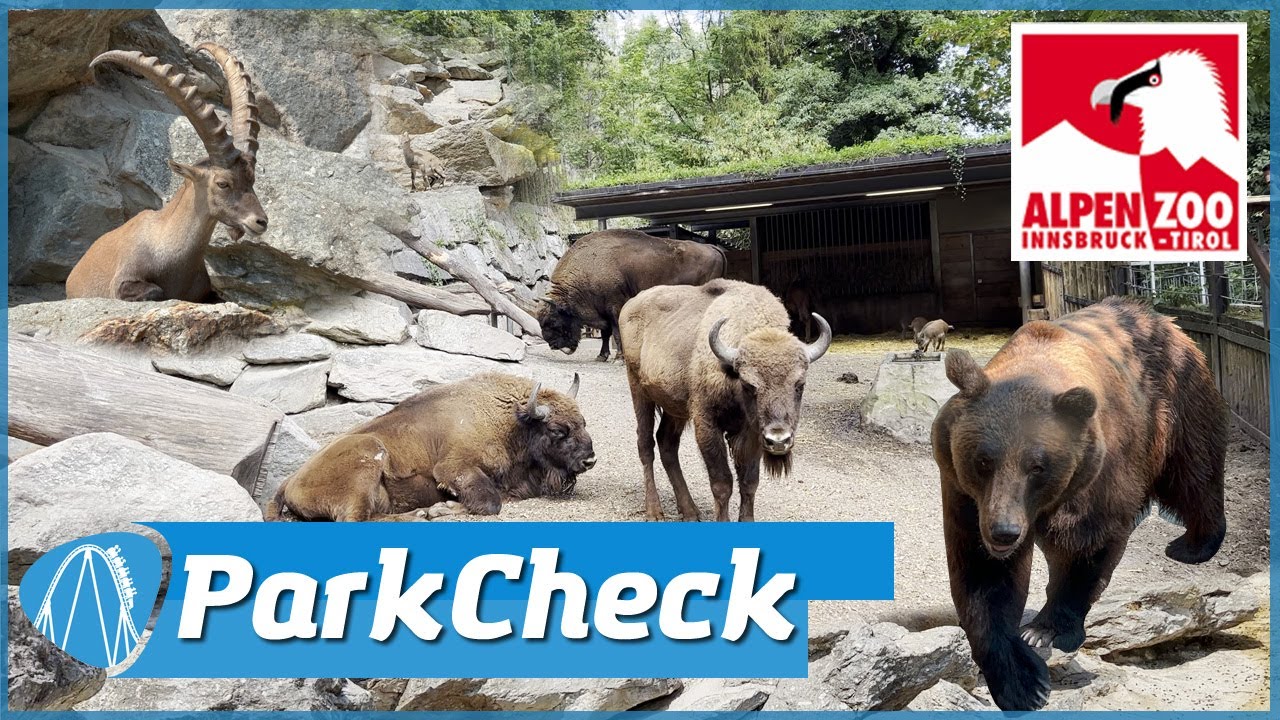Alpenzoo Innsbruck Tirol - ParkCheck & Impressionen - Erkundung der ...