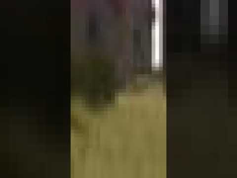 Select Hasty Firing Positions During An Urban Operation 200 - YouTube