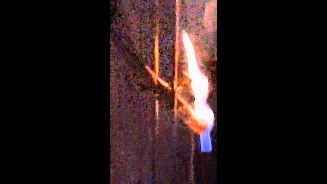 Howling/ Screaming Jelly Babies - YouTube