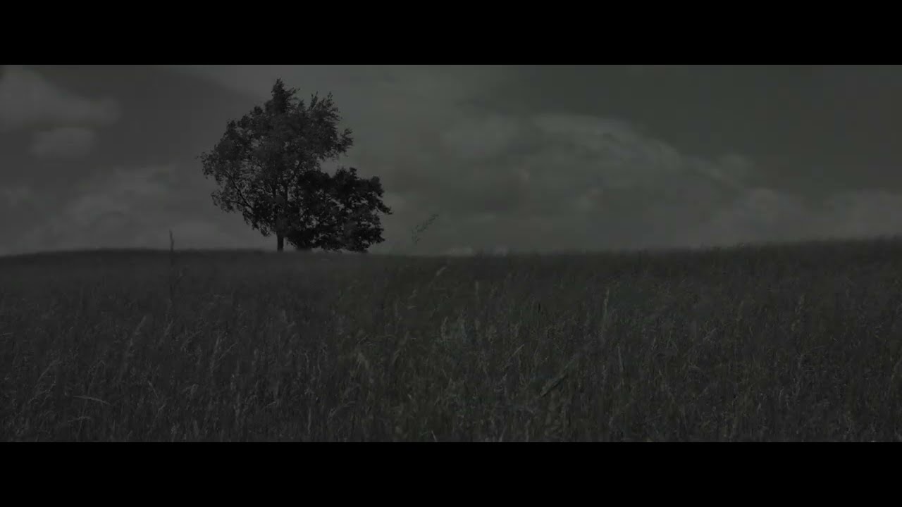 Leda Trailer. Feature Film out on 3D/2D Blu-ray/Digital 4.11.23 - YouTube