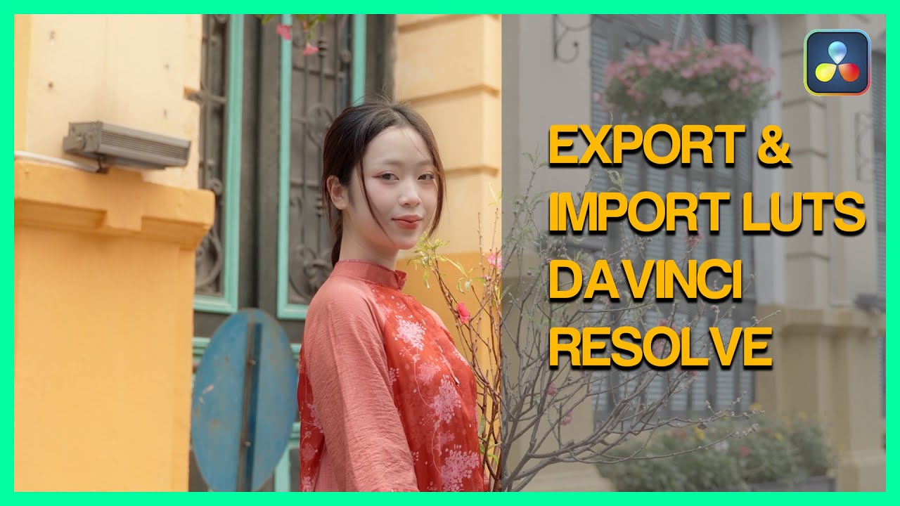 Export Luts & Import Luts Davinci Resolve 19 - YouTube