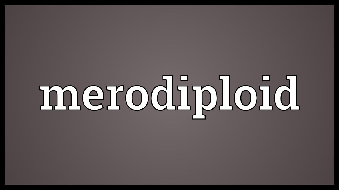 Merodiploid Meaning - YouTube