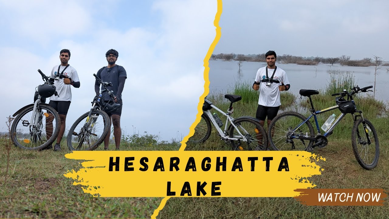 Cycling to Hesaraghatta Lake and Charlie's Animal Rescue Centre ...