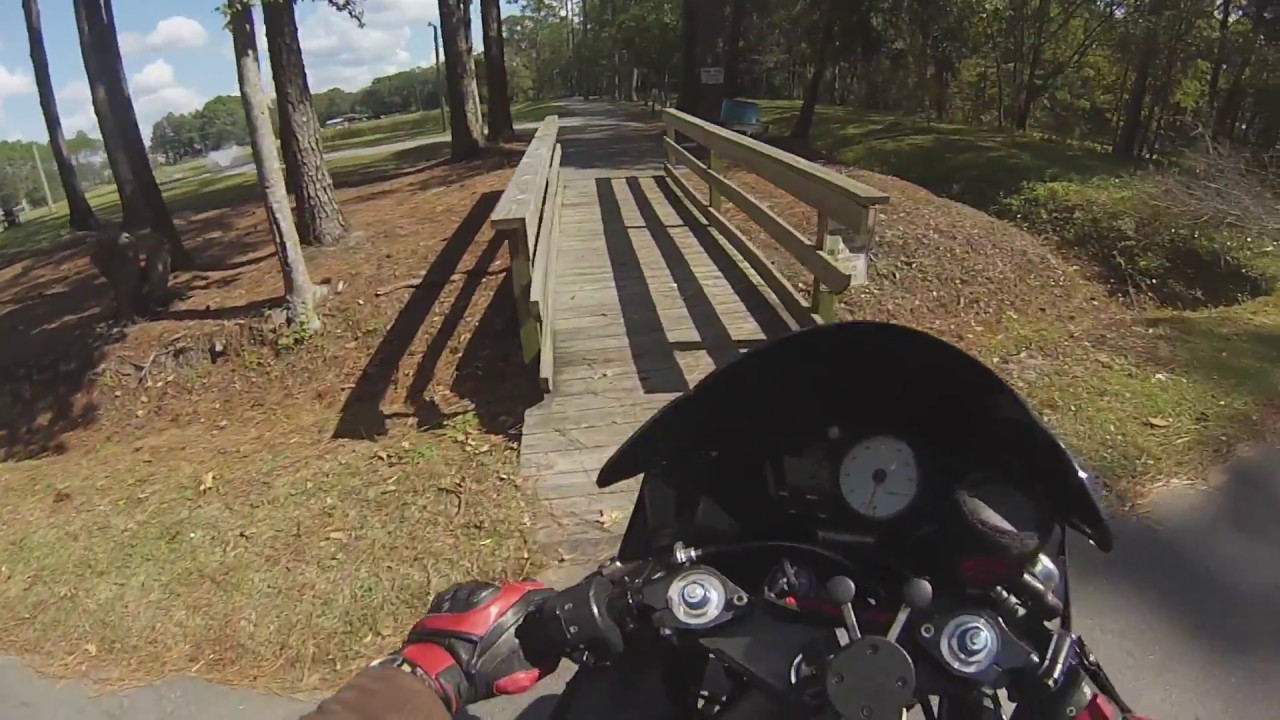 I Crushed A Bird - YouTube