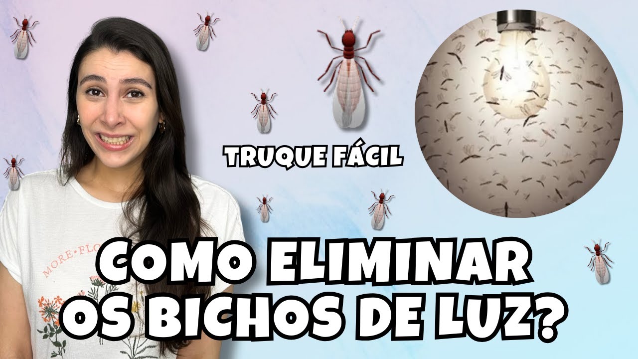 COMO ELIMINAR OS BICHOS DE LUZ? TRUQUE MUITO FÁCIL - Isabela Martin ...