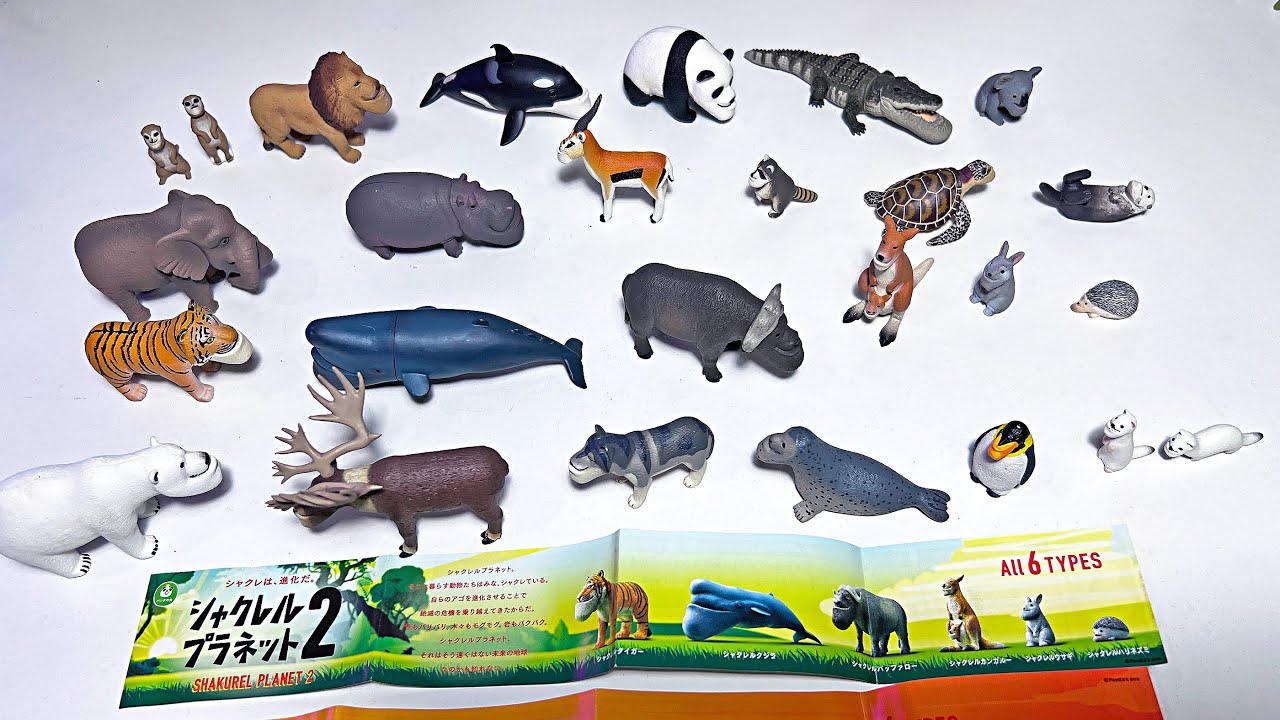 Sea Animals, Animals Collection - Whale, Orca, Crocodile, Lion, Tiger ...