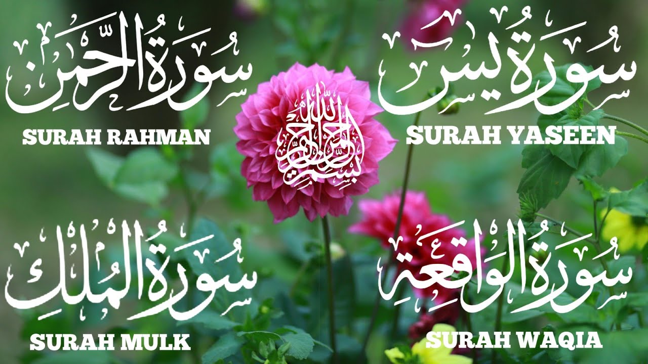 Surah Yaseen | Episode 530 | Daily Quran Tilawat Surah Rahman Surah ...