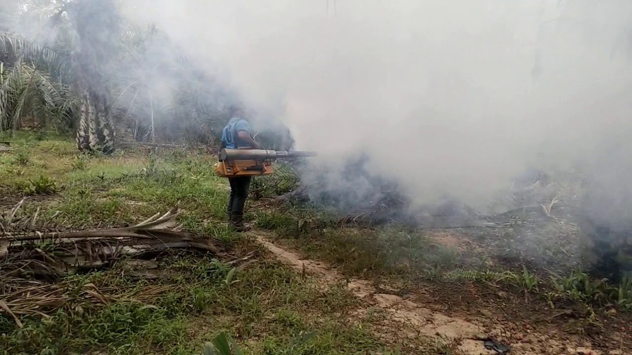 Pengendalian ulat api dengan cara pogging pada tanaman kelapa sawit ...