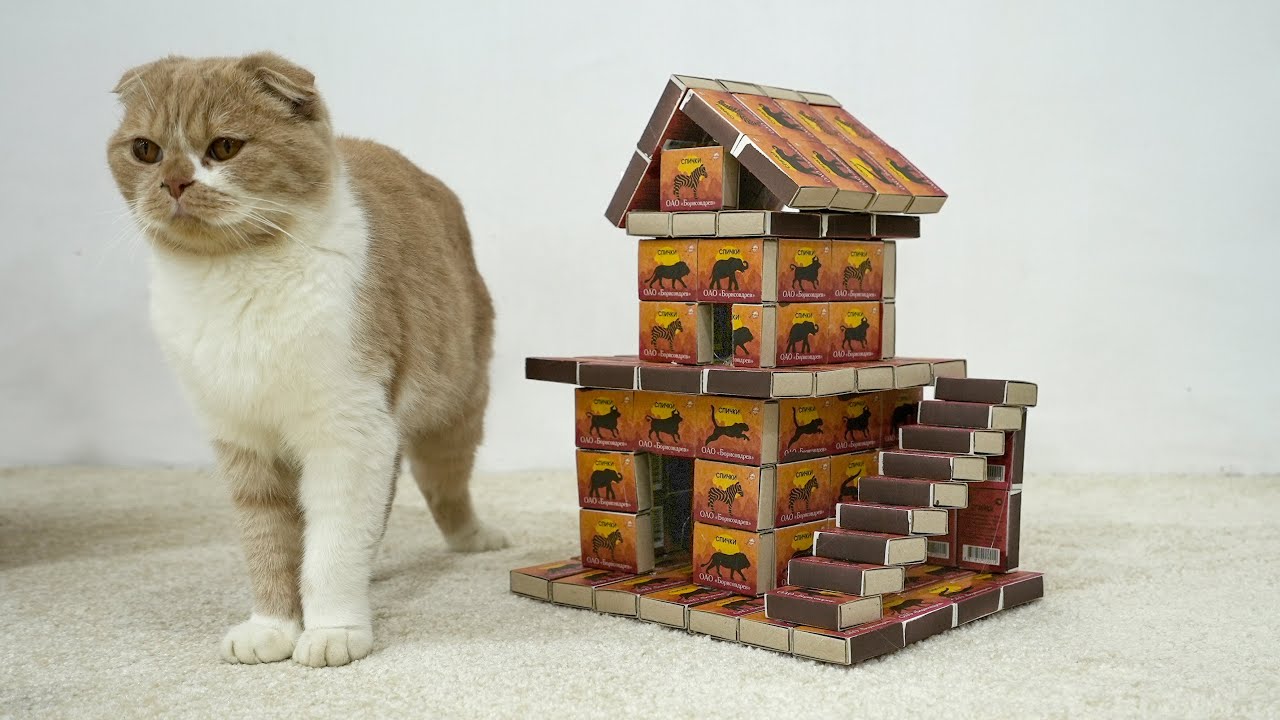 How to make Matches House for a cats - YouTube