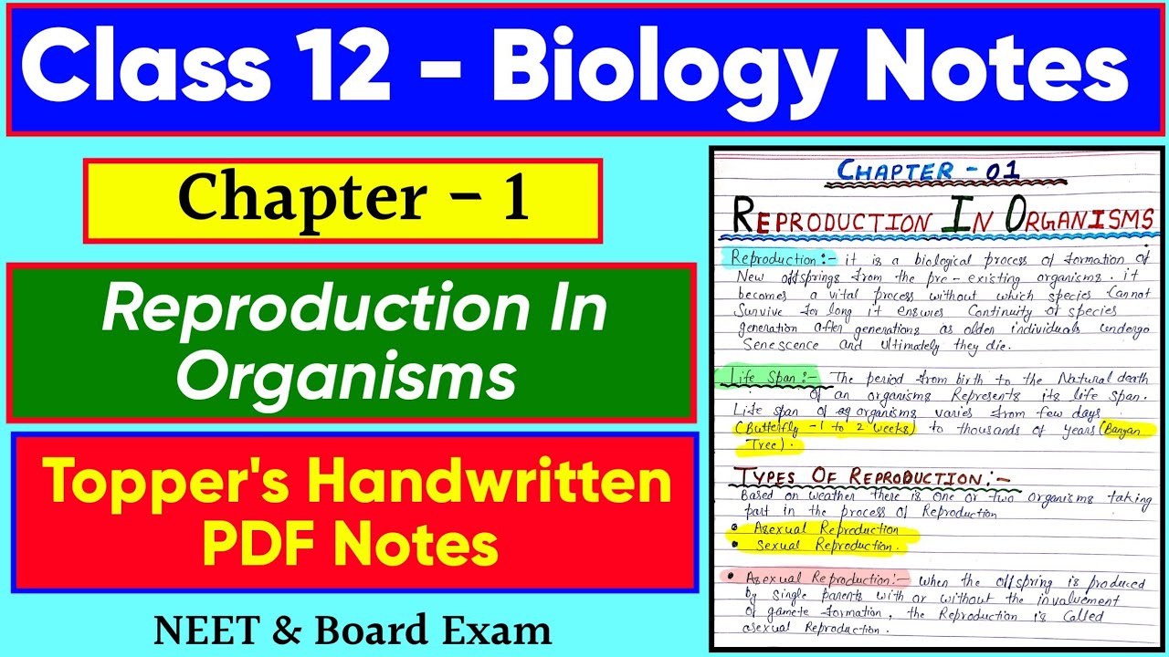 Chapter 1 REPRODUCTION IN ORGANISMS // Class 12 Biology Handwritten PDF ...