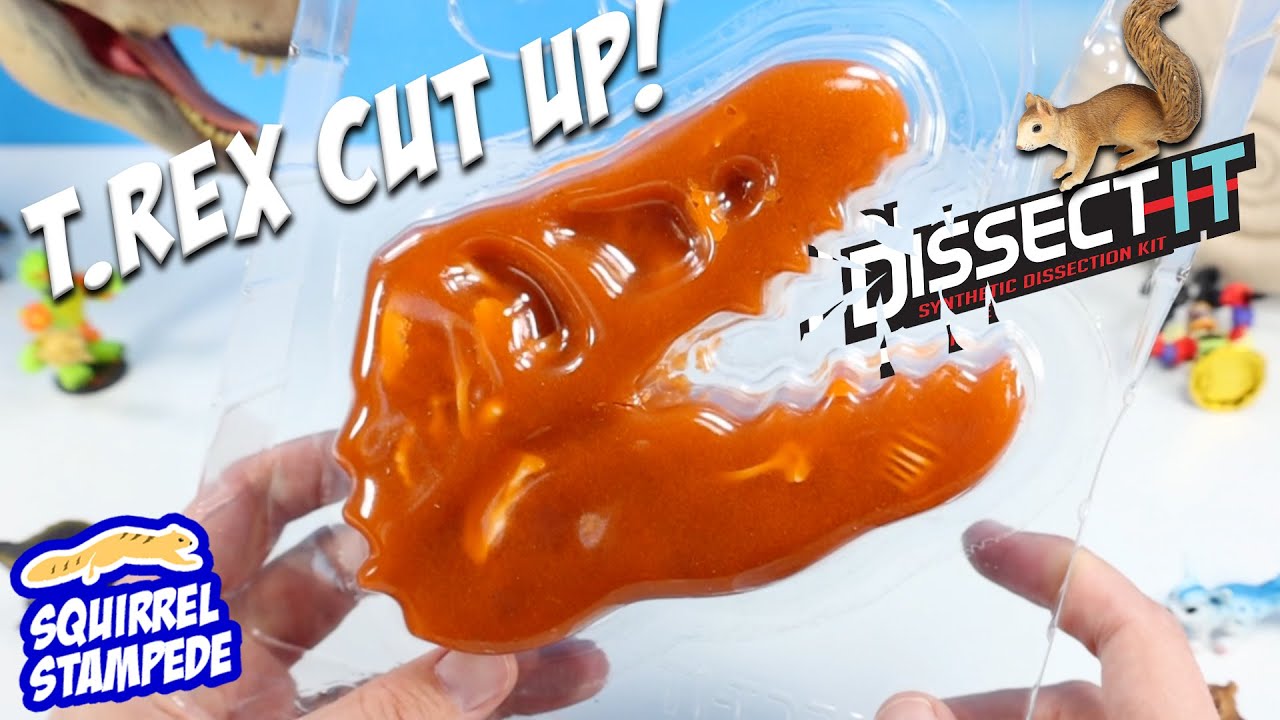 Dinosaur Dig Dissect It Lab Tyrannosaurus Rex Fossil Discover Kit ...