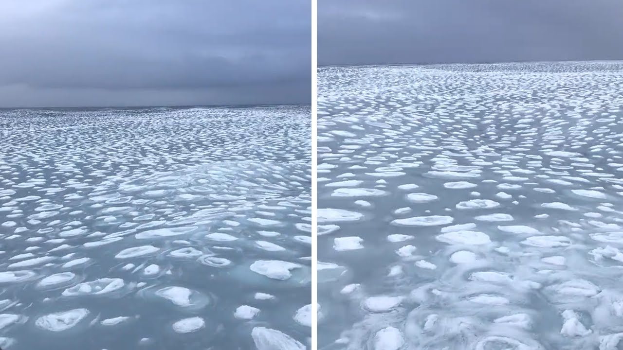 Ice-covered waves beautifully captured on camera in Norway #Shorts ...