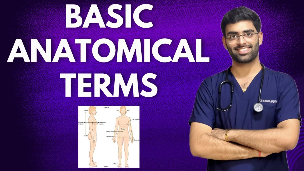 BASIC ANATOMICAL TERMS TO UNDERSTAND BIOMECHANICS EASILY 🩺 ...