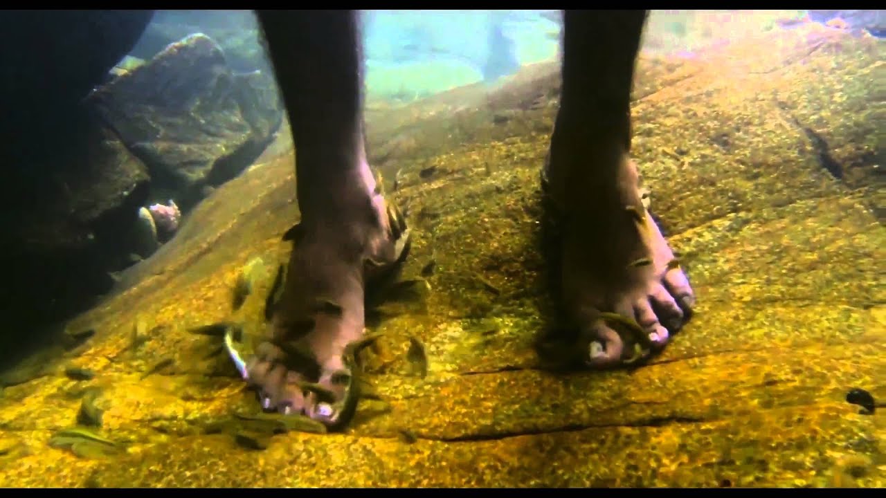 Leopard Do Not Bite - YouTube