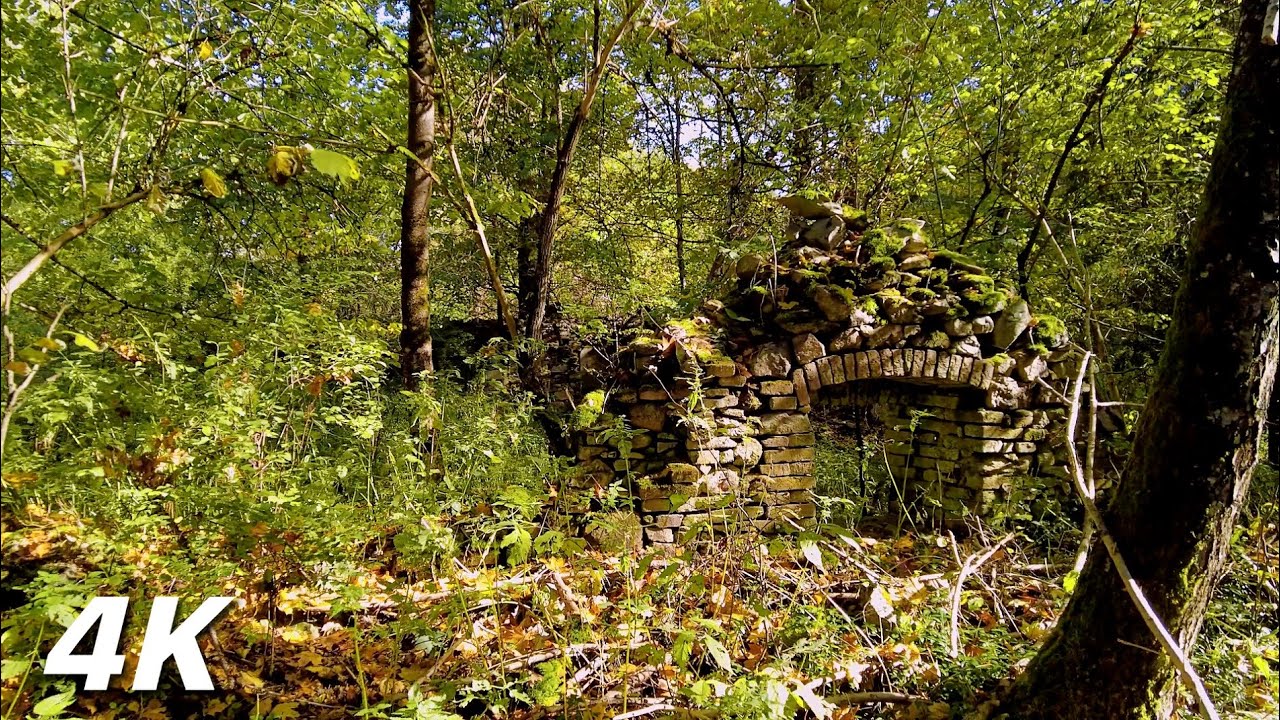 Hitler Took Our Homes - History In Nature ASMR Autumn Fall 4K Lost ...