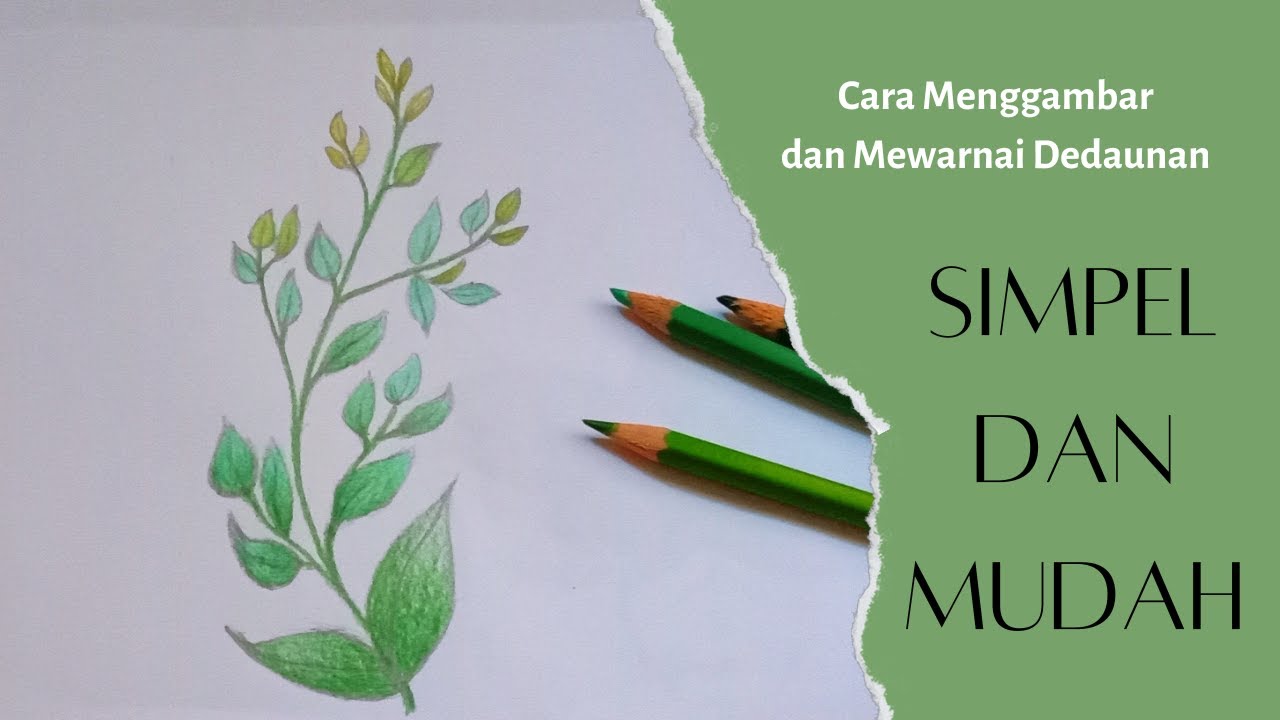 Tutorial || Cara mudah menggambar dan mewarnai dedaunan dengan pensil ...