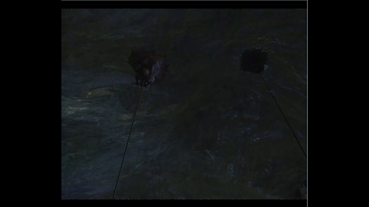 barnacle_encounter.mp4 (Half-Life 2 VHS) - YouTube