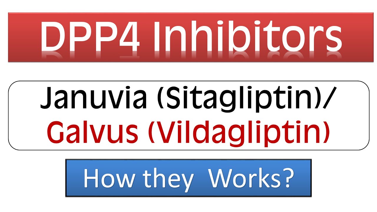 DPP-4 Inhibitors - Januvia (Sitagliptin)/ Galvus (Vidagliptin ...