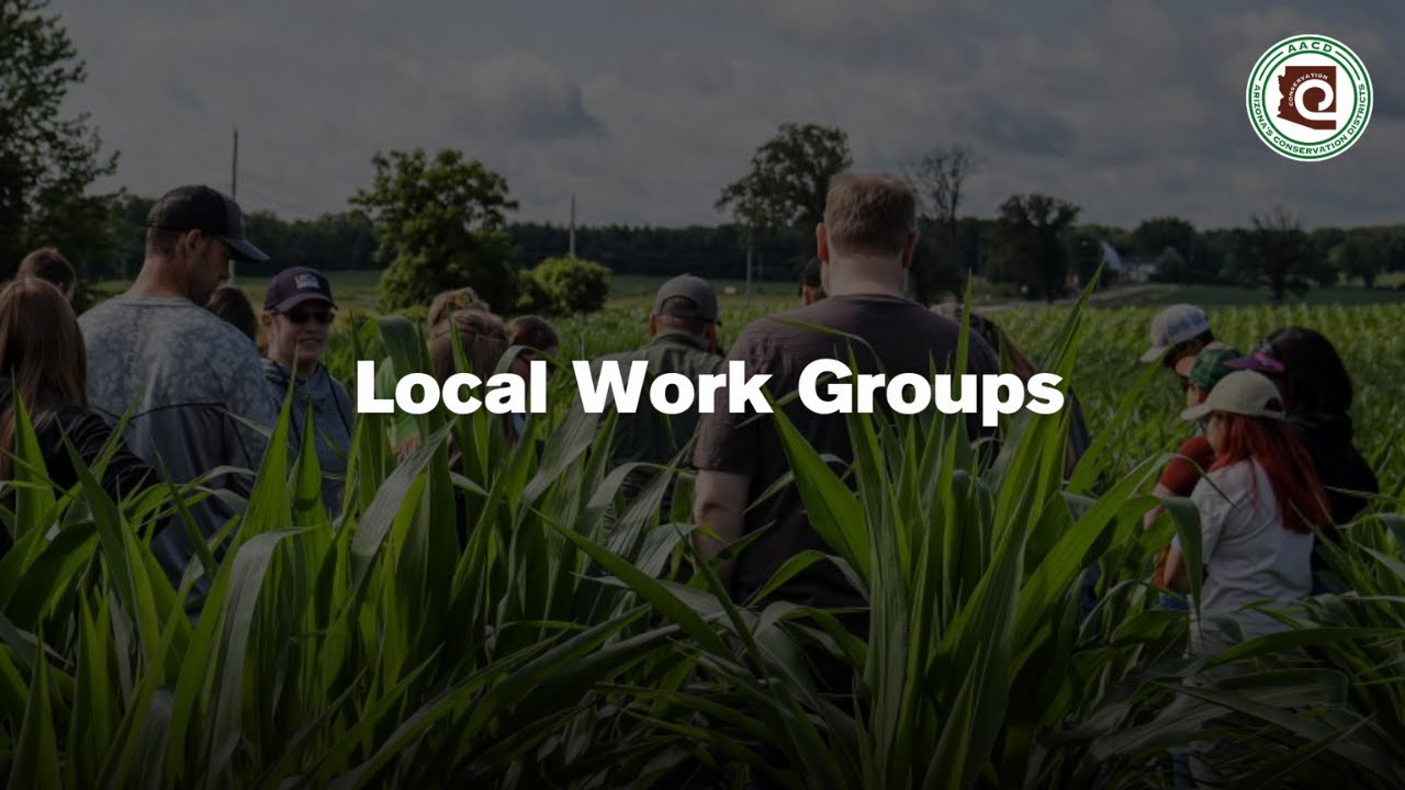 Local Work Groups - YouTube