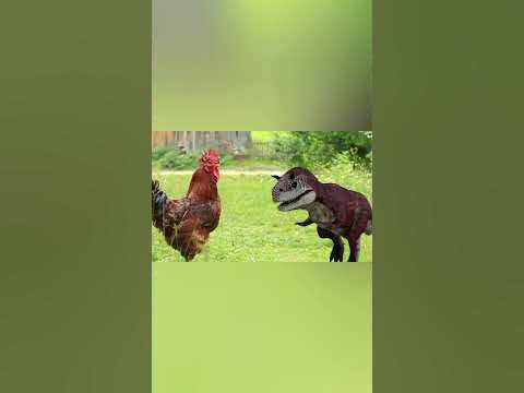 T-rex Vs Chicken #shorts #trex #chicken#fight - YouTube