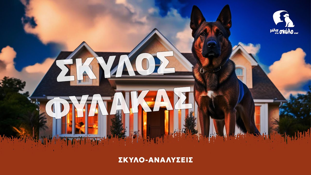 Σκύλος - φύλακας | Guard Dog | English subs | ΜΙΛΑ ΣΤΟ ΣΚΥΛΟ ΣΟΥ - YouTube